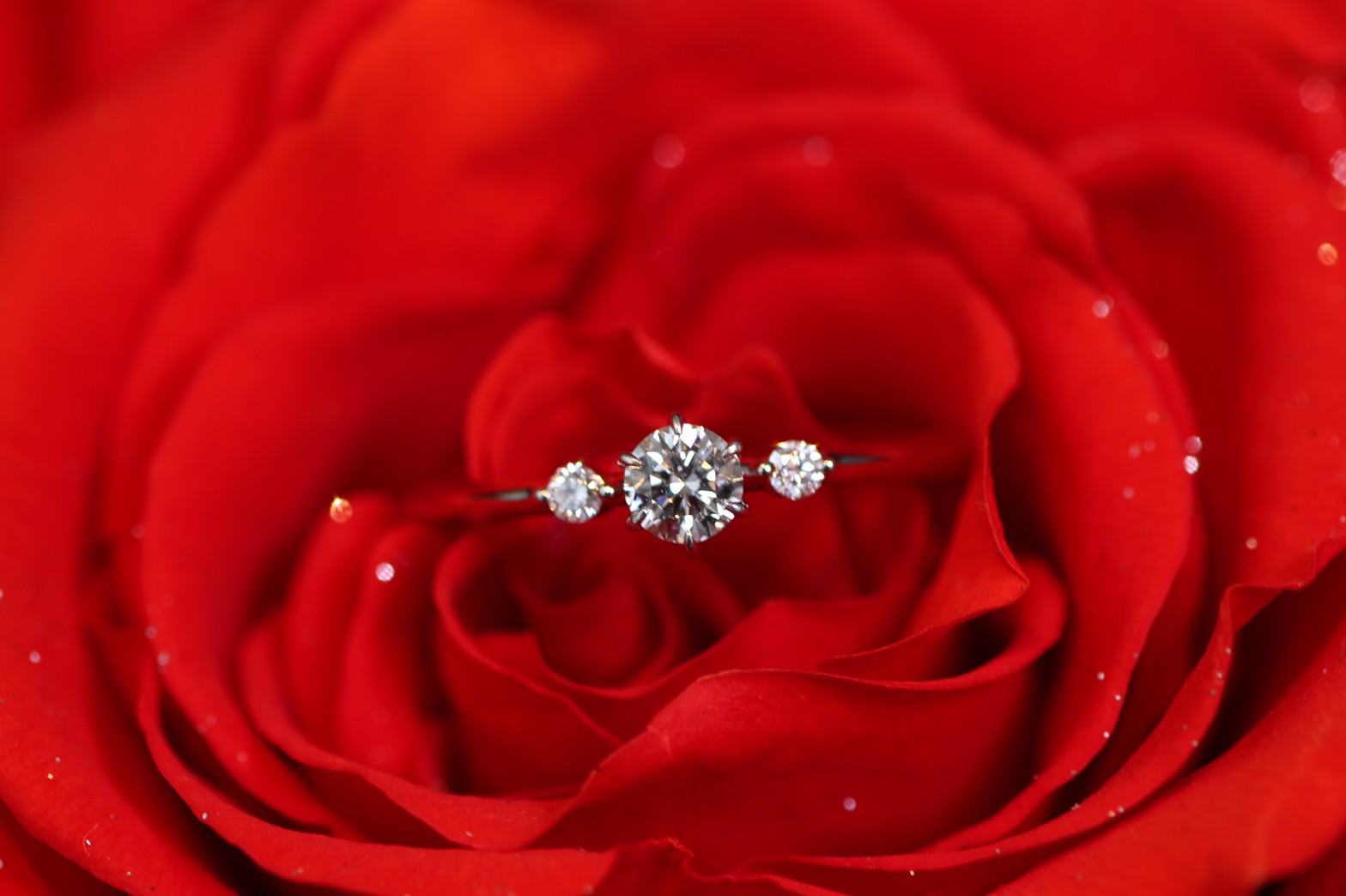 HOSHI no SUNA：2024年1月 HOSHI no SUNAキャンペーンのお知らせ | 水戸で結婚指輪・婚約指輪が人気で評判の店ジュエリーネモト